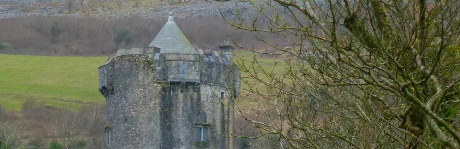 newtown-castle – Burren College of Art | Newtown Castle | Ballyvaughan ...