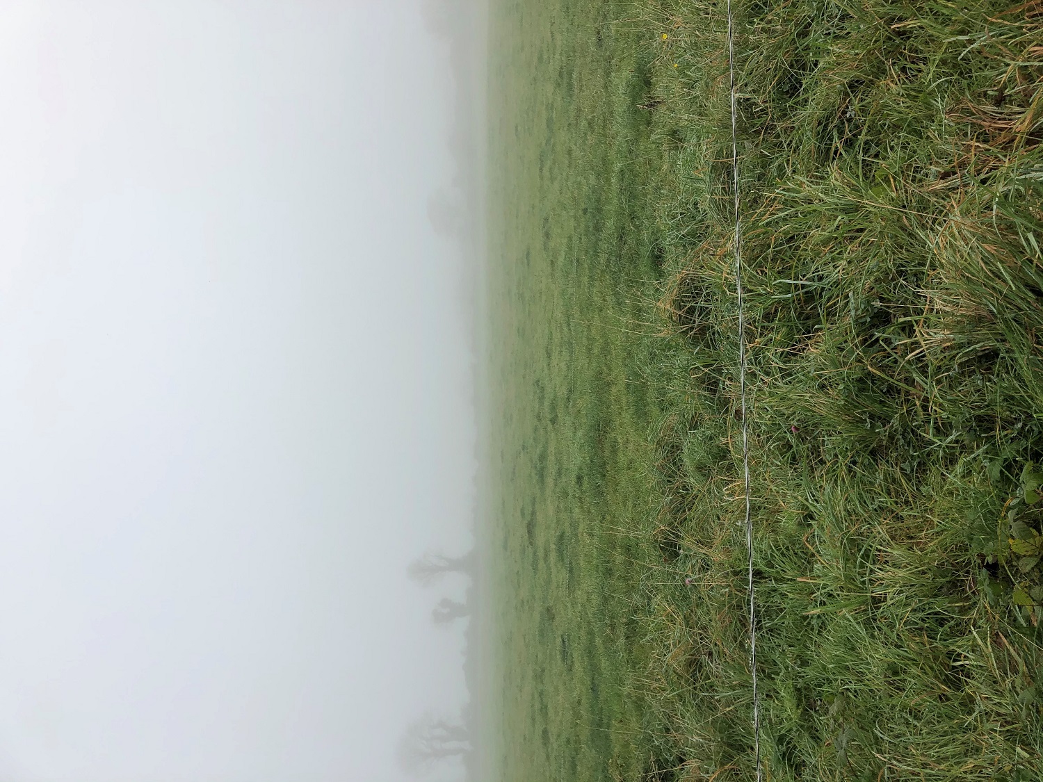 tairseach / threshold – Burren College of Art | Newtown Castle ...