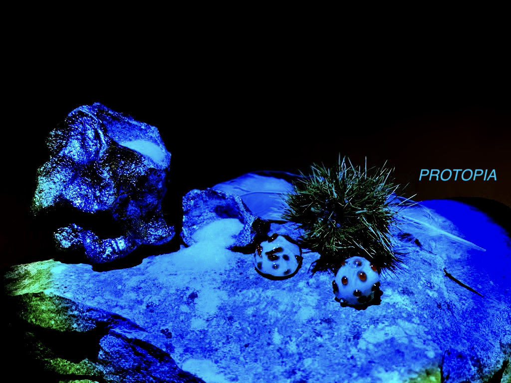 Protopia – Burren College of Art | Newtown Castle | Ballyvaughan | Co ...