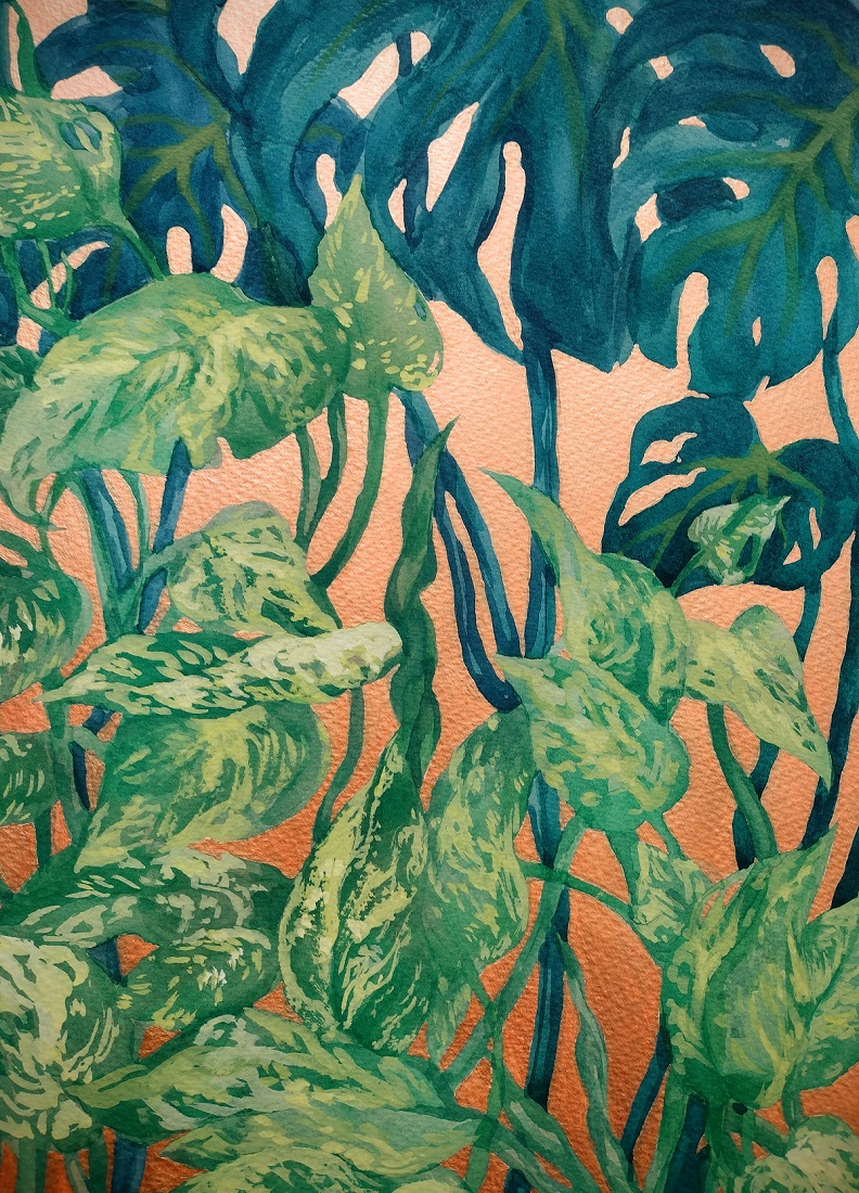 Pothos – Burren College of Art | Newtown Castle | Ballyvaughan | Co ...